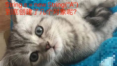 Adelinepan 博客园