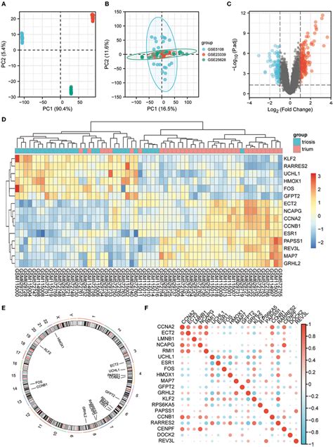 Em Geo Dataset Acquisition And Telomere Related Differential Gene