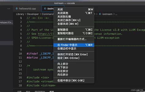 vscode编译器添加c 万能头文件 vscode 编译代码 可以直接调用头文件iostream 吗 csdn博客