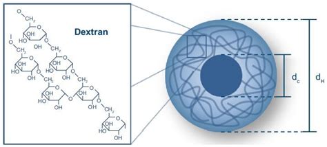Figure 6 Schematic Drawing Of A Spherical And Dextran Coated Magnetic