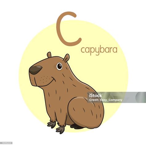 알파벳 문자 C 어퍼 케이스 또는 어린이 학습 연습 Abc에 대 한 대 문자와 Capybara의 벡터 그림 카피바라에 대한 스톡