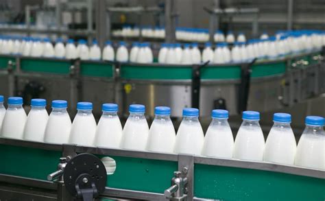 Milk Pasteurization Vs Homogenization Zwirner Equipment