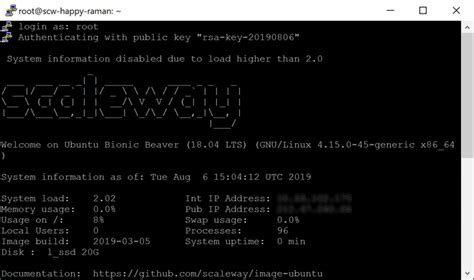 How To Connect To Your Elastic Metal Server Via Ssh Or Remote Desktop Scaleway Documentation