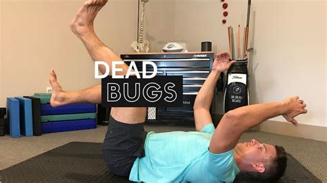 Dead Bug Drill For Core Stability Youtube