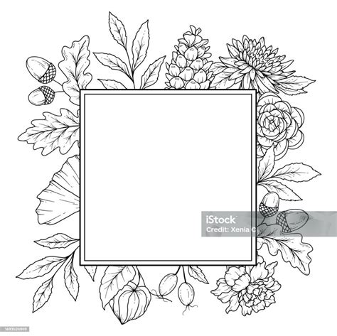 가을 꽃무늬 프레임 윤곽선 가을 단풍 라인 아트 일러스트레이션 윤곽선 나뭇잎 배열 손으로 그린 그림 나뭇잎이 있는 가을 색칠 페이지 추수 감사절 준비 흰색으로 분리된 추수
