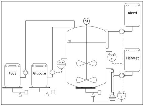 Scaling Fed Batch And Perfusion Antibody Production Processes In… Justin Caruso