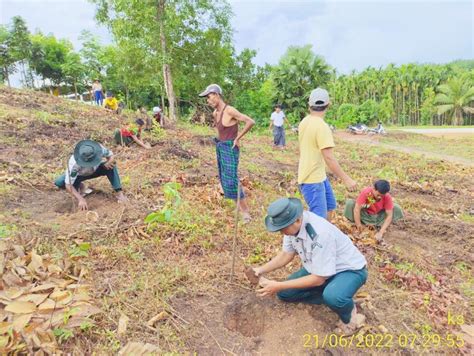 ကလိန်အောင်မြို့ ရာဖူးကျေးရွာ၌ မိုးရာသီ အရိပ်ရသစ်ပင်စိုက်ပျိုးပွဲတော်ကျင်းပ Information And