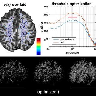 Automated Quantification Of PVS Likeliness And PVS Segmentation First