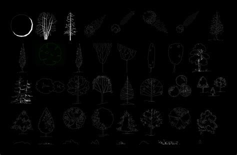 Trees And Shrubs 2D DWG Detail For AutoCAD Designs CAD