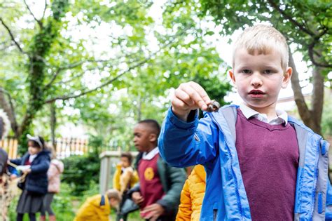 Dalmain Primary School Science