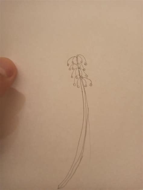 Ответы Mail Как называется цветок