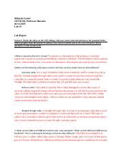Lytton NETW W Lab Report Docx Mikayla Lytton NETW Professor Mustafa Lab