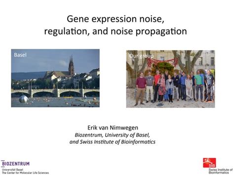 Gene Expression Noise Regulation And Noise Propagation Erik Van