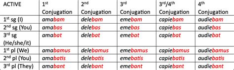 Indicative Verbs Latin Gcse — My Classics Portal
