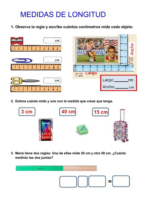 Medidas De Longitud Online Worksheet For Segundo De Primaria Artofit