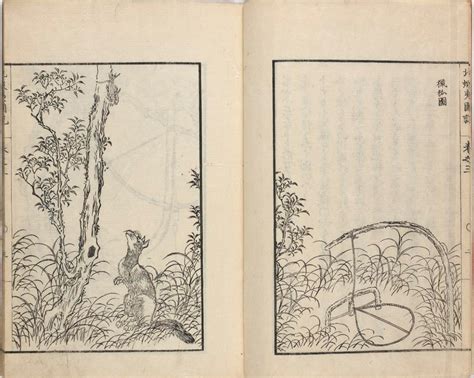 Mamiya Rinzō Kita Ezo Zusetsu 北蝦夷圖說 1855 The History Of The Book