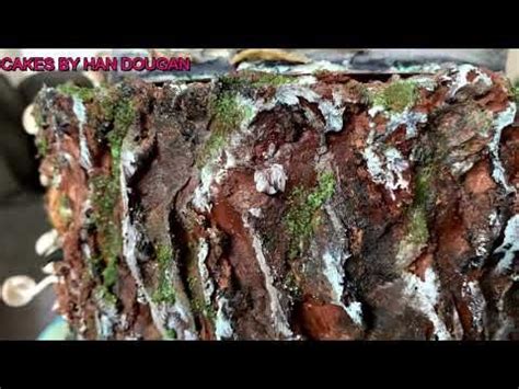 Realistic Tree Bark With Chocolate Frosting YouTube Tree Stump Cake Chocolate Cake
