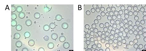 A Quick And Efficient Double Encapsulation Method For FACS Based Droplet Sorting Fluigent