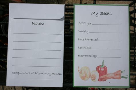 Make Your Own Seed Saving Packet With These Simple Instructions And Template