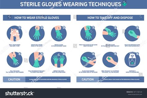 41 206 Sterile Surgical Gloves Immagini Foto Stock E Grafica