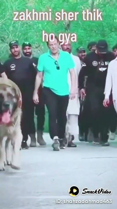 زخمی شیر😜🙏💪💪💪 Youtube