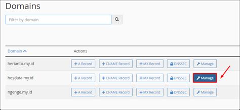 Cara Reset DNS Record Pada CPanel Hosting HostData Id