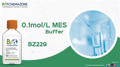 0 1mol L Mes Buffer Properties Uses And Safety Guidelines