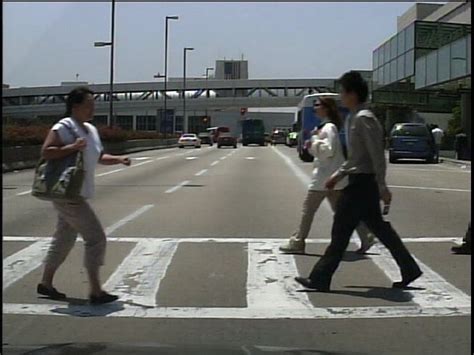 Pedestrian Object Detection Dataset By Zsl