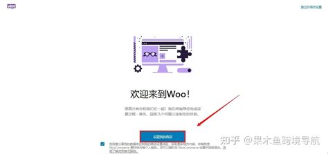Wordpress Woocommerce从零搭建b2c跨境电商外贸独立站 知乎