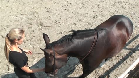Haunches In Straightness Training