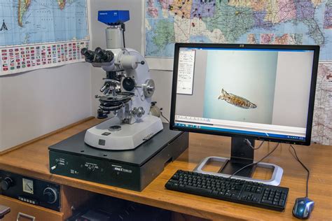 Negative Stiffness Vibration Isolation For The Sharpest Micro World Images Apogee Photo Magazine