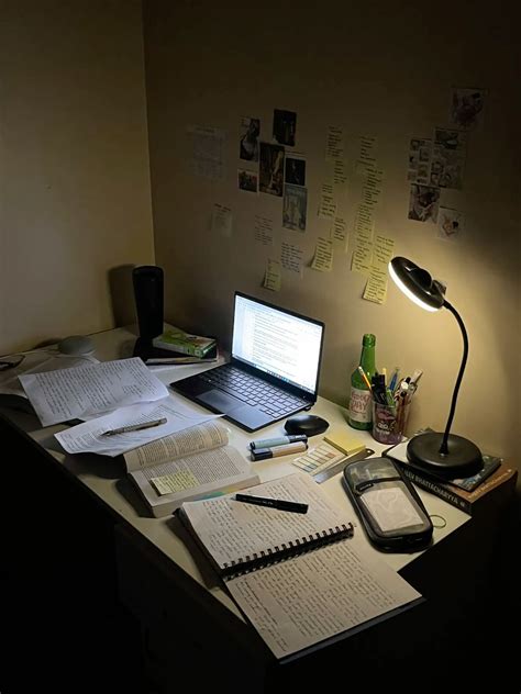 Study Images Student