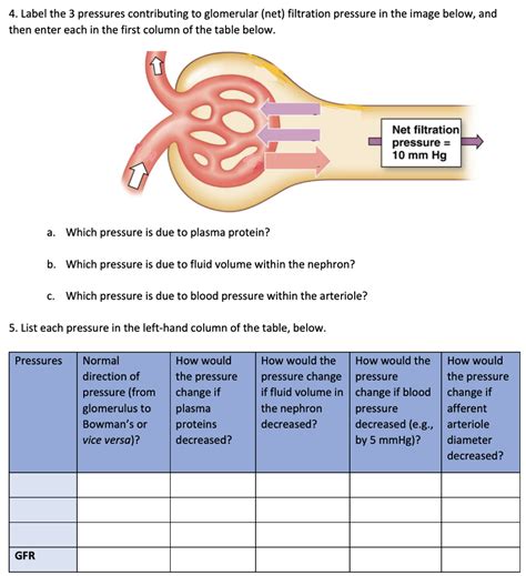 Solved Use Colloid Osmotic Capsule Hydrostatic And