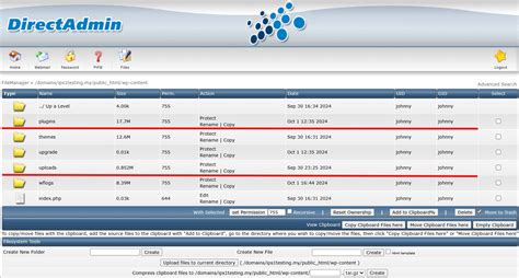 How To Troubleshoot Wordpress Permission Error Using Directadmin Enhanced Skin Ipserverone