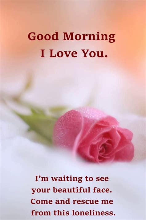 60 Love Good Morning Quotes Sweet And Beautiful Good Morning Texts