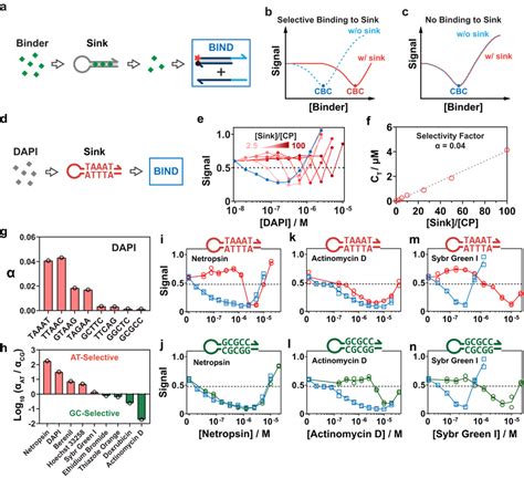 Determining Sequence Selectivity Of Dna Binder Interactions Using