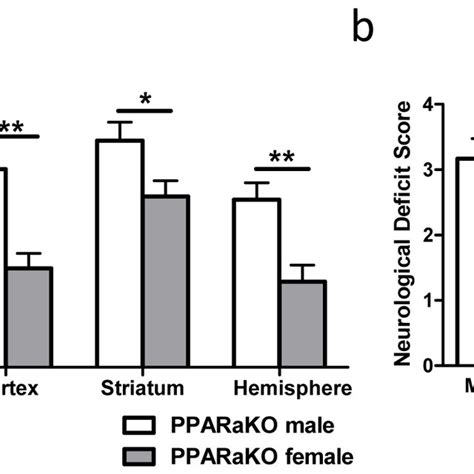Loss Of Pparα Does Not Resolve Sex Differences In Infarct Volume After