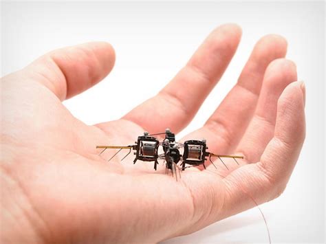 Mits New Insect Sized Winged Drones Have A Flight Time Of 17 Minutes Yanko Design