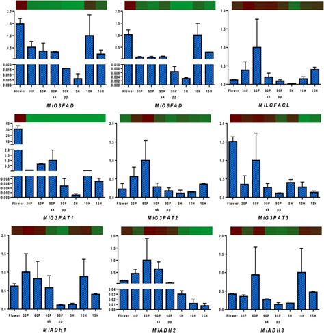 Quantitative Reverse Transcriptase Pcr Validation Of Various