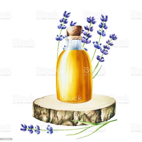 나무 톱에 코르크 마개가 달린 수채화 기름 유리병은 흰색 배경에 분리된 라벤더로 자른다 미용 제품 및 식물학 요소 미용 및 의학