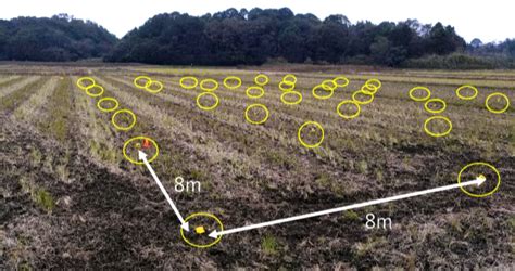 3d Microtremor Array Survey Construction And Urban Development Field Disaster Prevention And