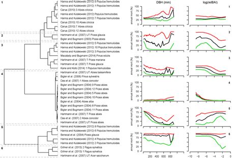 Hierarchical Clustering Of Tree Ring Based Models Into Six Clusters Download Scientific Diagram