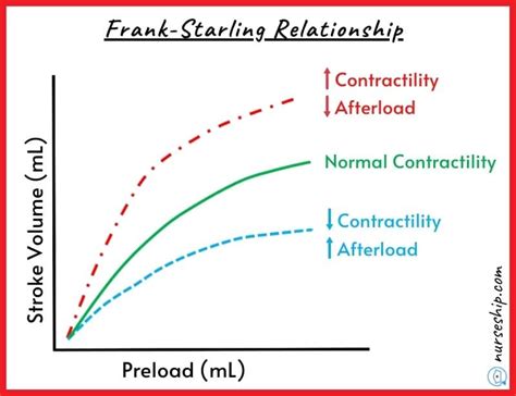 Cardiac Preload Vs Afterload Vs Contractility With An Example Nurseship