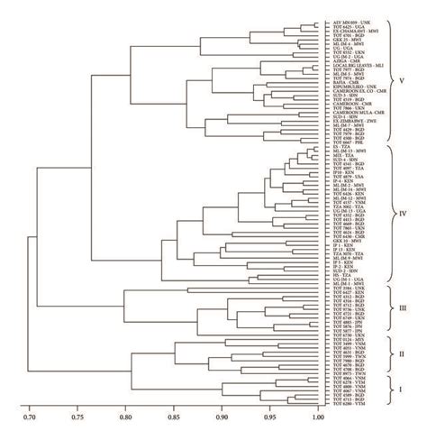 Dendrogram Of 90 Accessions Of Corchorus Spp Explained By Complete