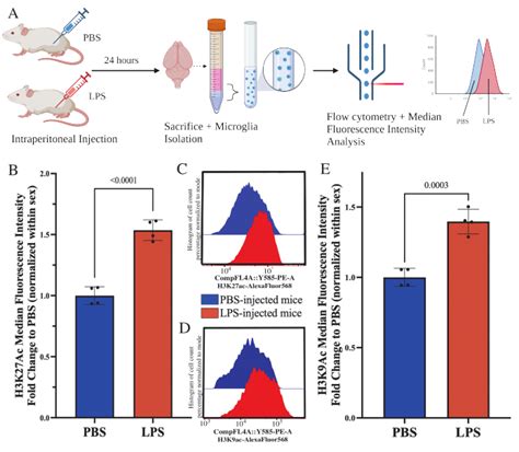 Quantification Of Global Histone Post Translational Modifications Using