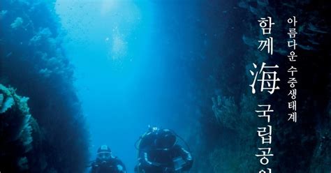 국립공원공단 해양생물·수중경관 명장면 100점 온라인 공개