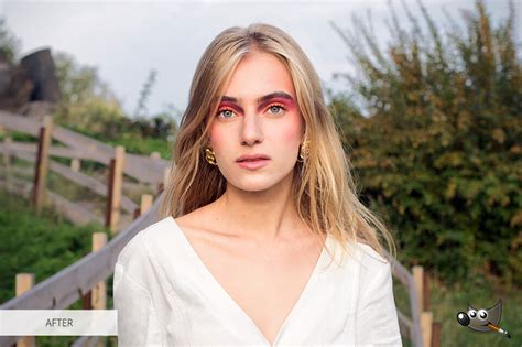 GIMP Vs Paint NET Comparison