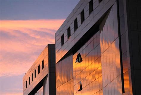 La Uvic Ucc Escala 19 Posicions A Lu Ranking 2025 I Consolida El Seu