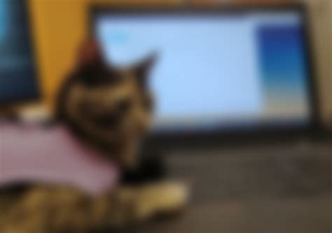 Unnecessary Use Of Cat When Writing Bash Scripts Rprogrammerhumor