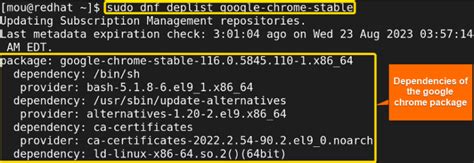 How To Force Remove A Package Without Dependencies Using Yum 2 Methods